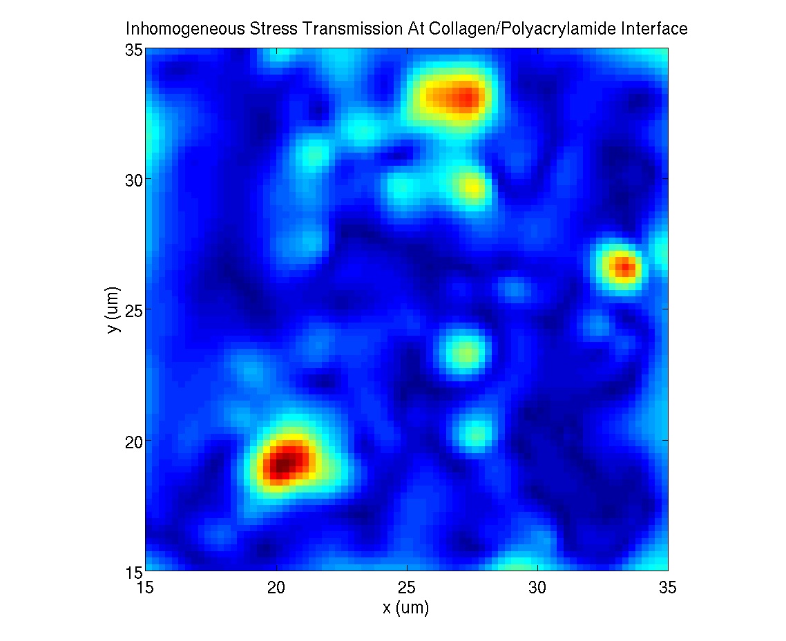 Confocal Rheology of Collagen